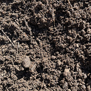 Soil - Pretty Sally Home and Garden Mitre 10 - Wallan Victoria