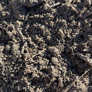 Soil - Pretty Sally Home and Garden Mitre 10 - Wallan Victoria