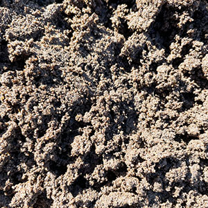 Soil - Pretty Sally Home and Garden Mitre 10 - Wallan Victoria